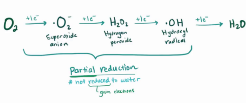 ho2是什么化学名称-百度经验