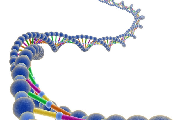 dna初步水解产物和彻底水解产物是什么-百度经验