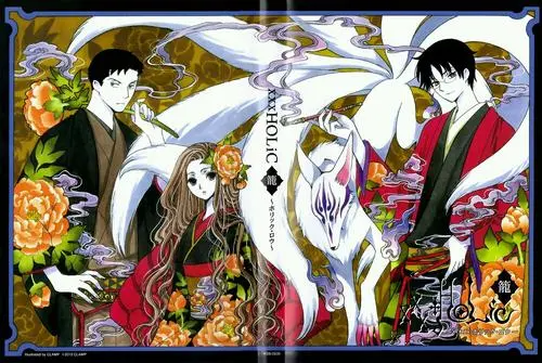 aholic和holic的区别-百度经验