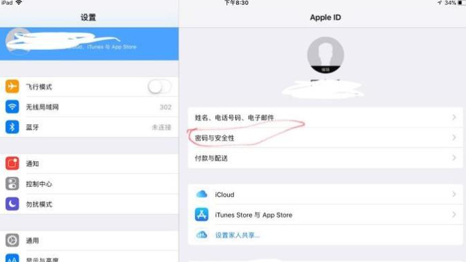 iPad的ID账号和密码设置哪里可以看到-百度经验