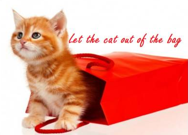 let the cat out of the bag是什么意思-百度经验