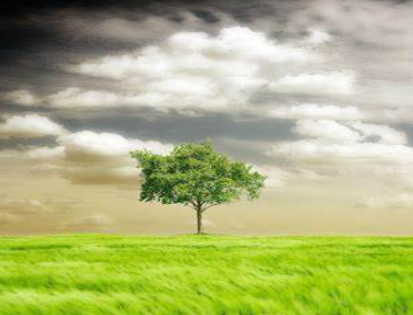 windy是小学几年级学的-百度经验