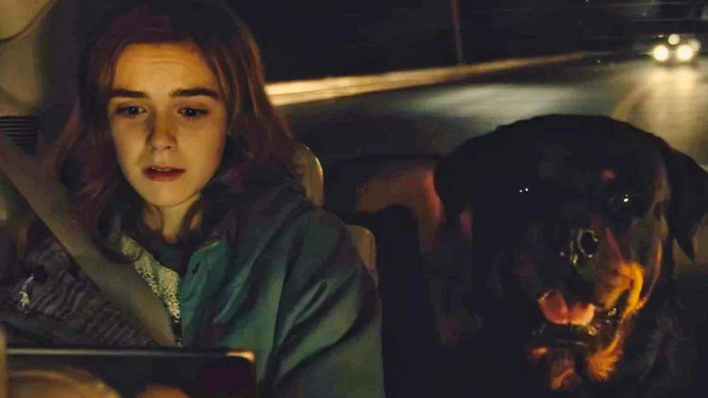 美国影片《安娜贝尔》故事梗概-百度经验