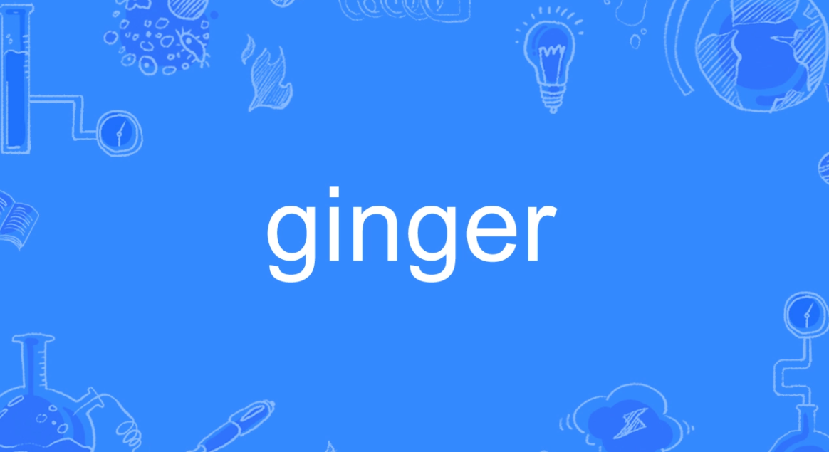 ginger什么意思-百度经验