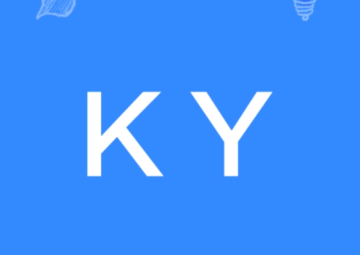 ky指的是什么呢-百度经验