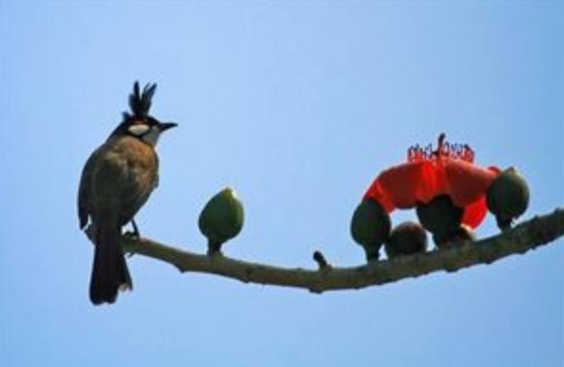 be made of与be made from的具体区别在哪里-百度经验