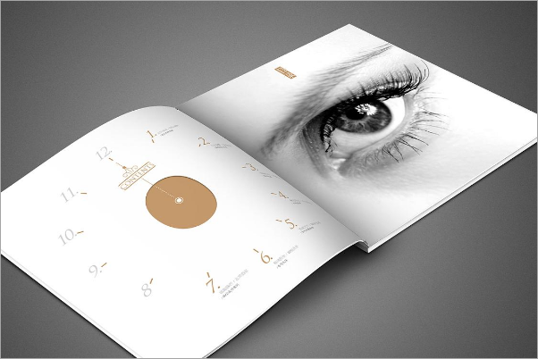 focused on和 focus on的区别是什么-百度经验