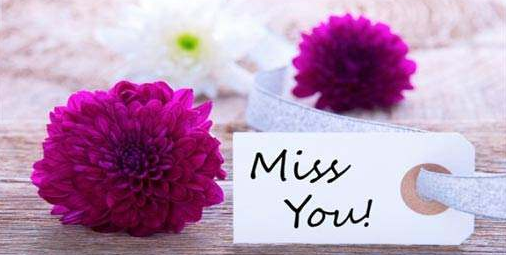 miss作为什么意思时有复数-百度经验