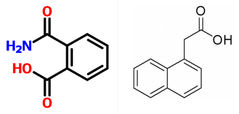 NAA和NPA的区别是什么-百度经验