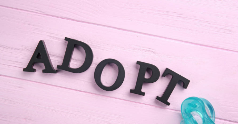 adapt与adopt的区别-百度经验