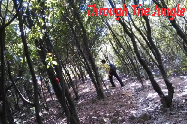 请问through和by解释为通过的时候有什么区别-百度经验