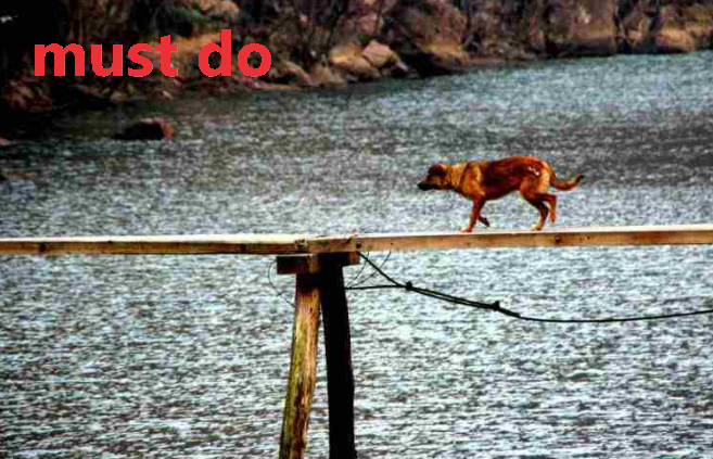 非要做某事的英文是must to do 还是must do-百度经验