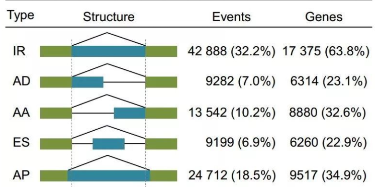 数据量4PB中的PB是什么概念，它是一个存储量单位吗？相当于多少G-百度经验