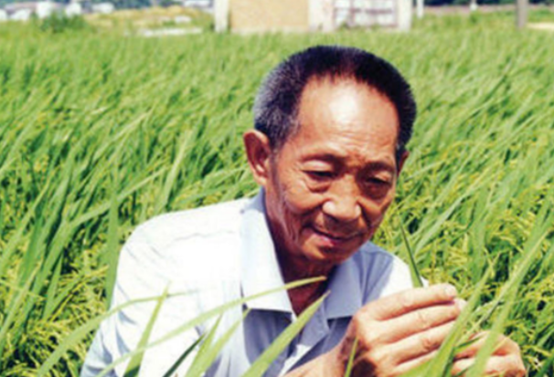 20世纪中国发明了什么-百度经验