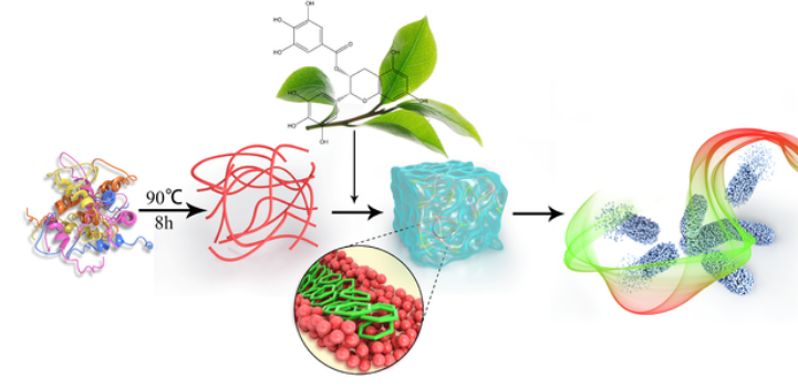 医学免疫学上所说的“mIgM”和“sIgA”分别是什么-百度经验