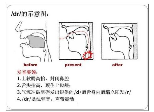 跪求含有tr dr ts dz音标的单词各15个-百度经验