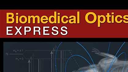 oe期刊什么水平-百度经验