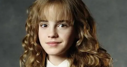 《哈利波特》里的人物有哪些-百度经验